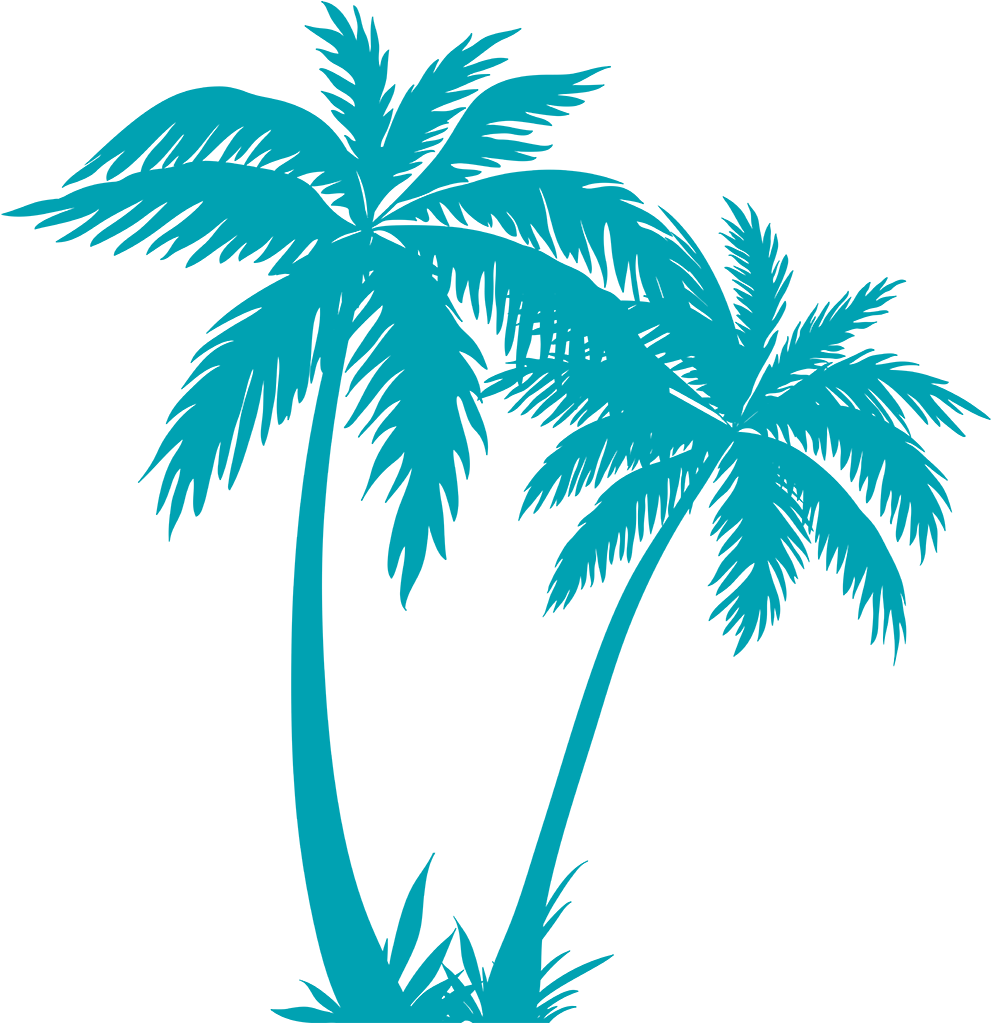 Download Transparent Palm Tree Plan Png - Palm Tree Vector Png - ClipartKey