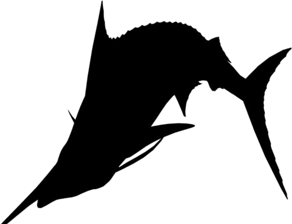 Download Sailfish Png Transparent Images - Portable Network Graphics ...