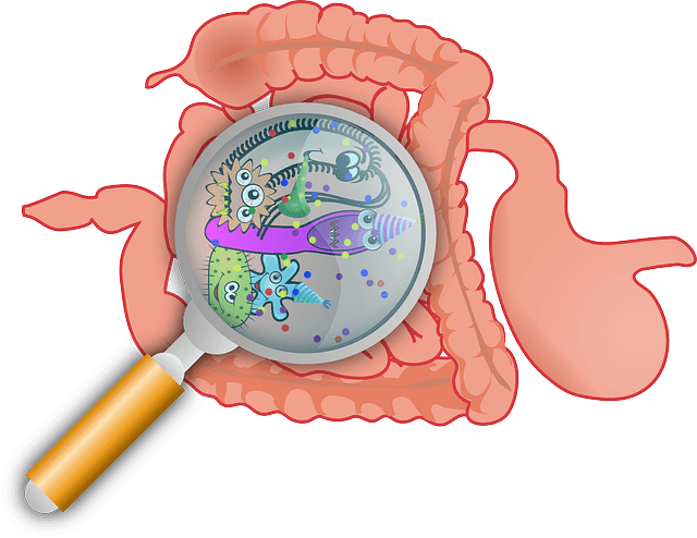 Download Ulcerative Colitis - Immunförsvar - ClipartKey