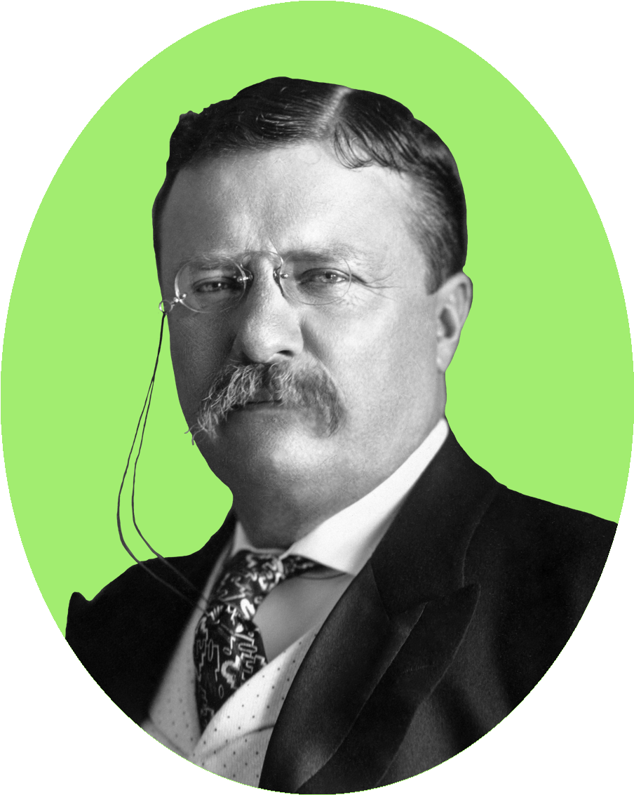 Download Transparent Confused - Theodore Roosevelt Png - ClipartKey