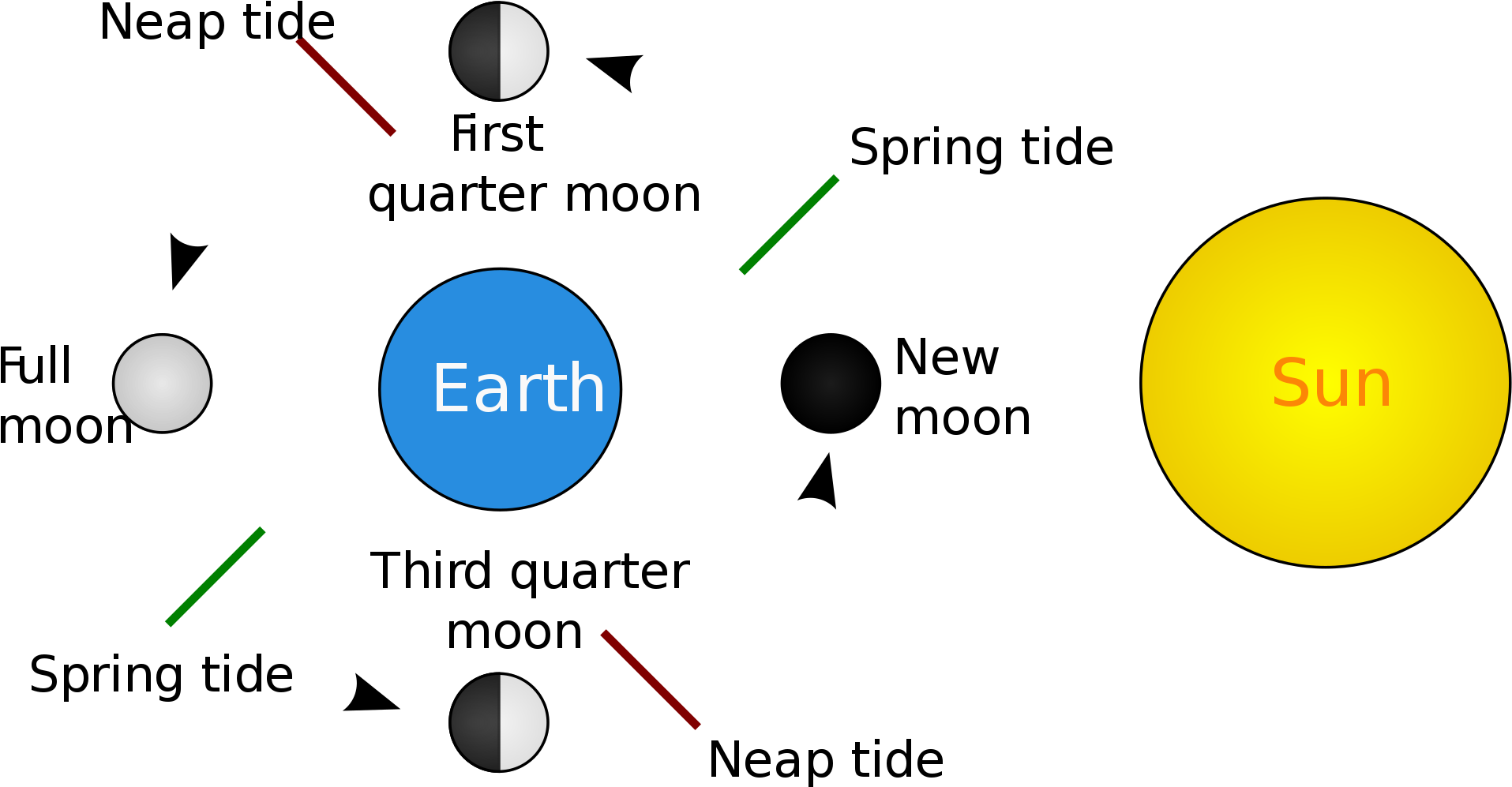 Download Transparent Tides Clipart - Diagram Tides - ClipartKey