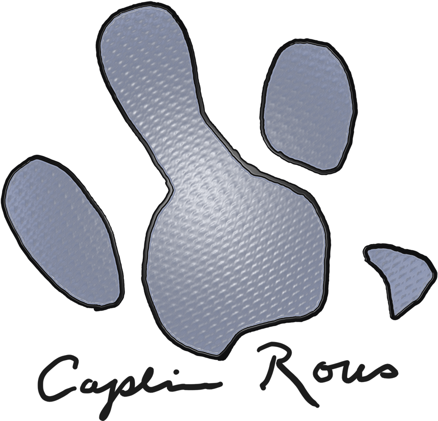 Download My Pawprints Capybara Madness - Capybara Paw Print - ClipartKey