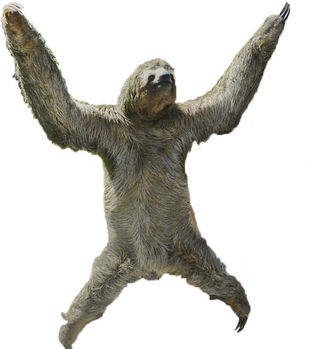 Download Three Toed Sloth No Background , Transparent Cartoons - Three ...