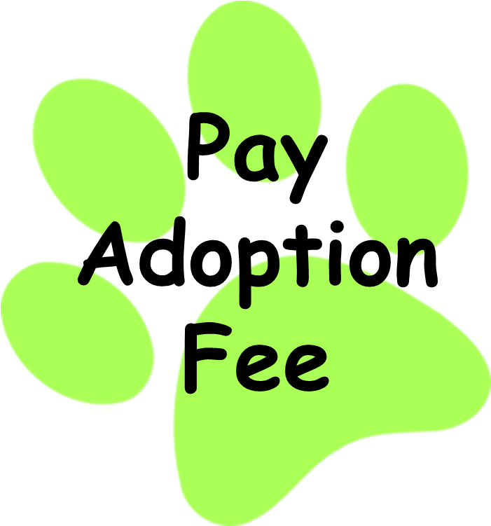 Download Surrendering Your Dog - ClipartKey