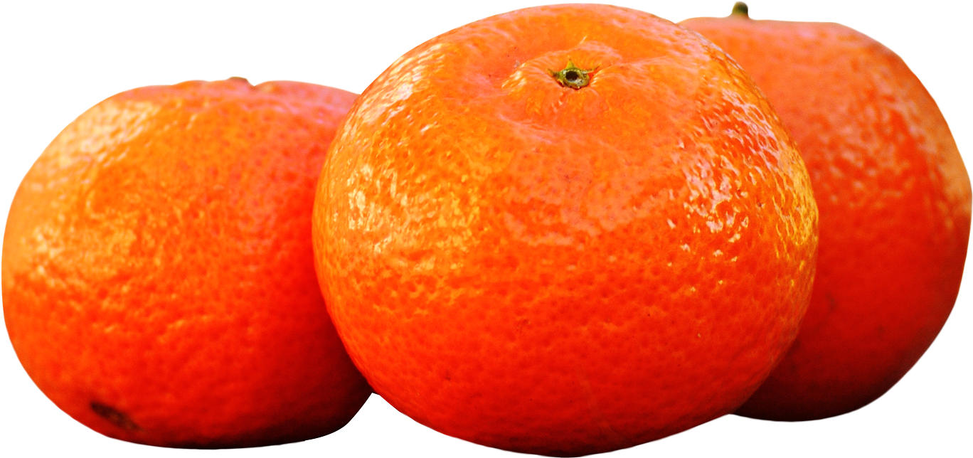 Download Mandarins Tangerines Png Image - Tangerines Png - ClipartKey