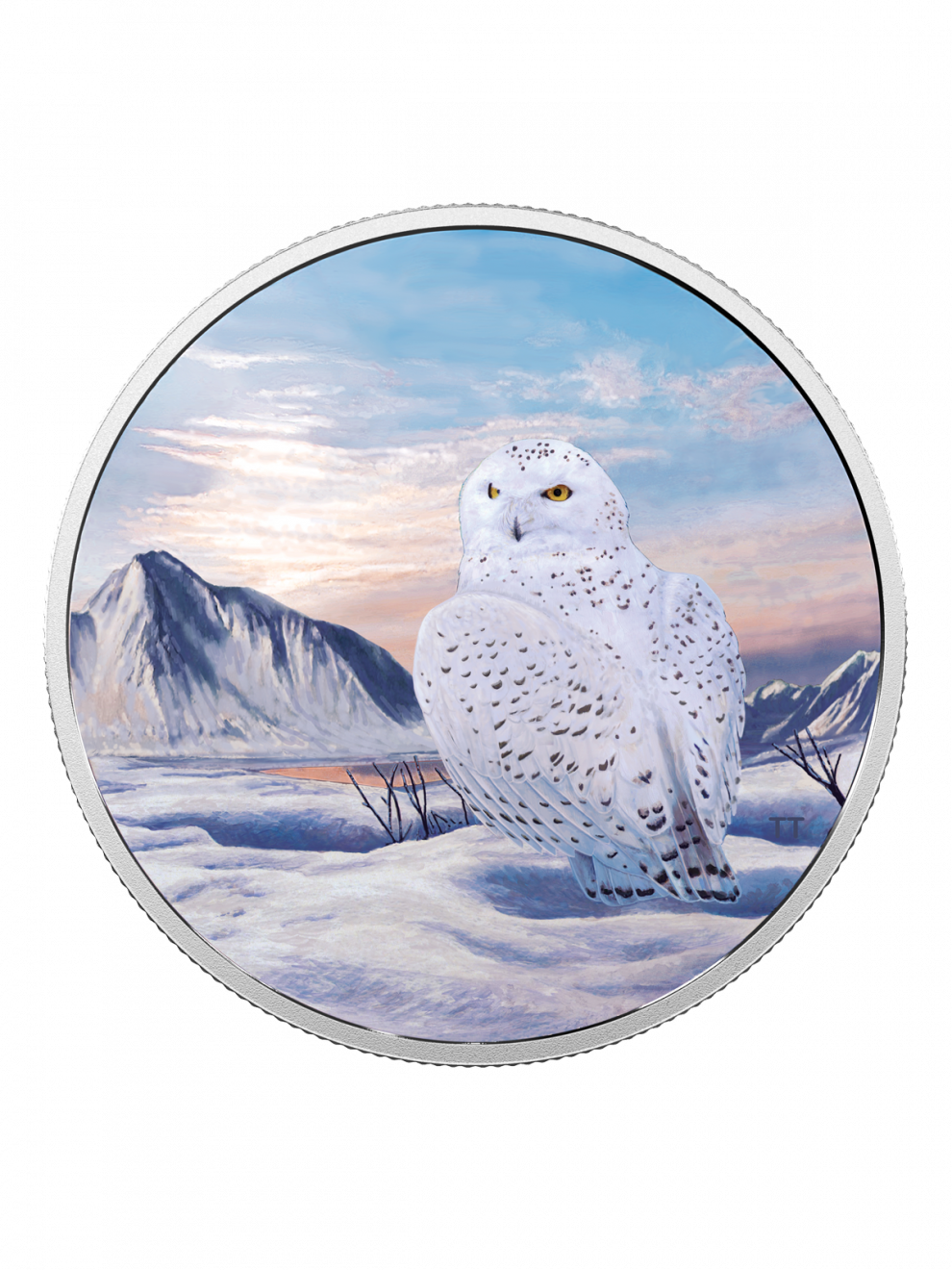 Download Transparent Snow Mound Png - Schnee Eulen Gif - ClipartKey