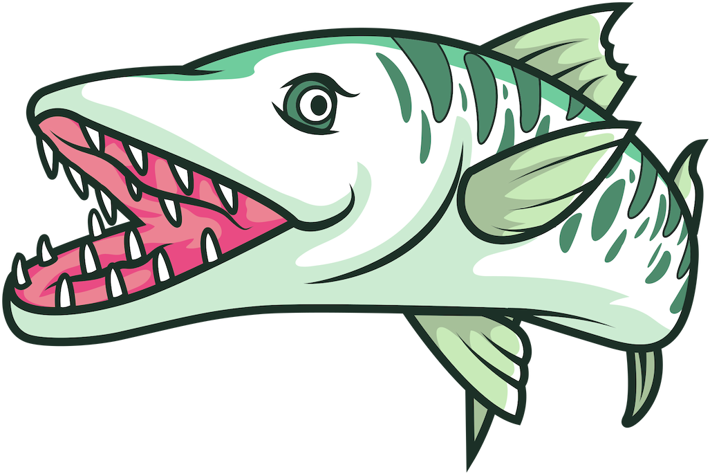 Download Barracuda Vector Png - ClipartKey