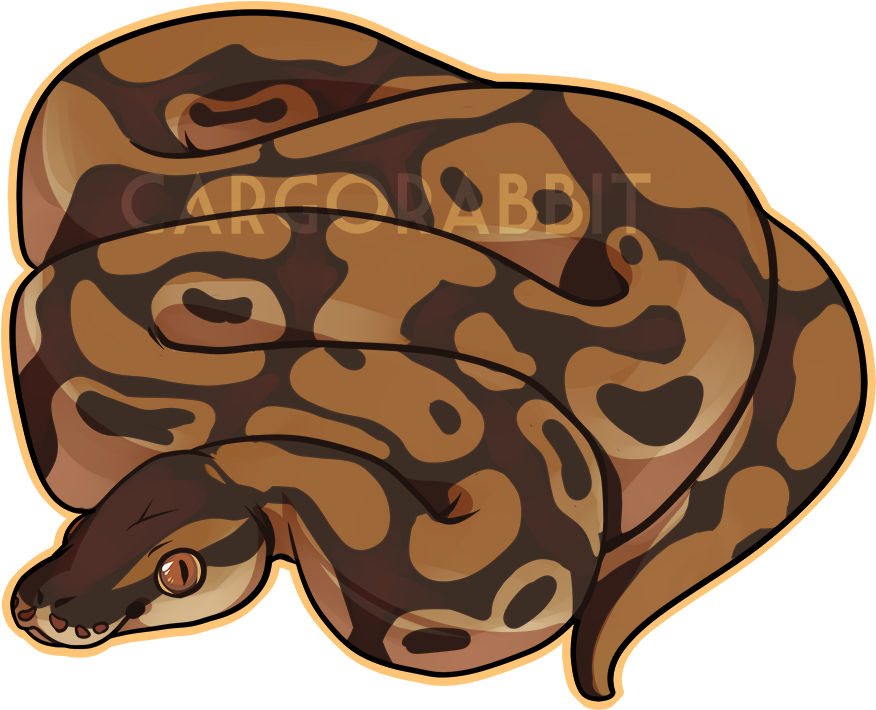 Download Ball Python - Ball Python Pix Art - ClipartKey