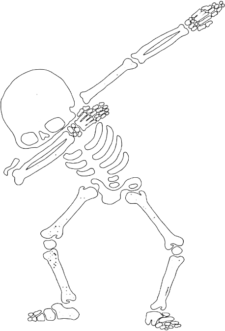 Download Skeleton Dab , Transparent Cartoons - Skeleton Dab - ClipartKey