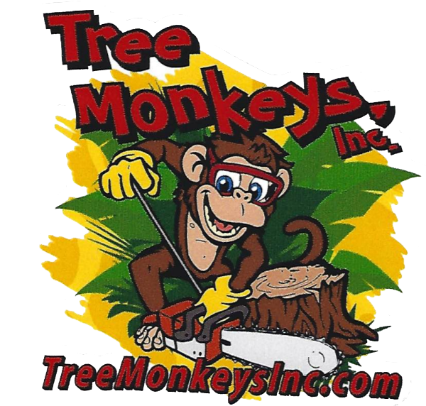 Download Monkey Cutting A Tree - ClipartKey