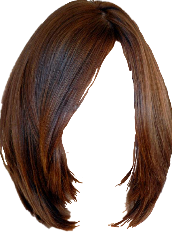 Download Transparent Hairdo Clipart - Black Hair Wig Transparent ...