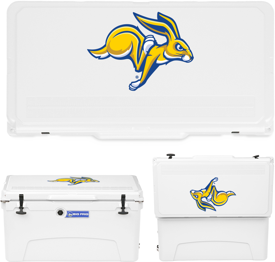 Download Transparent Jackrabbit Png - Fish - ClipartKey