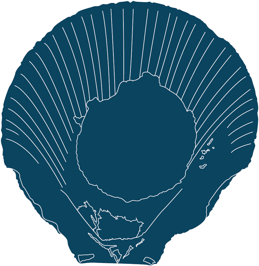 Download Scallop Shell Clip Art - ClipartKey