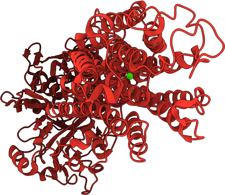 Download Transparent Endoplasmic Reticulum Clipart - ClipartKey
