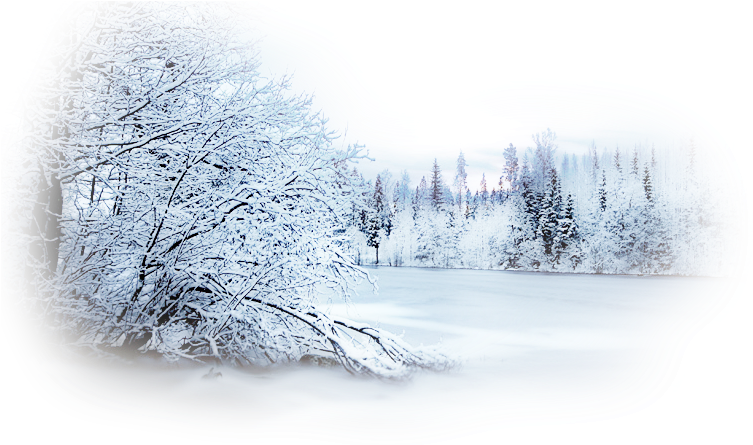 Download Winter Desktop Wallpaper Photography Snow Clip Art - Forest ...