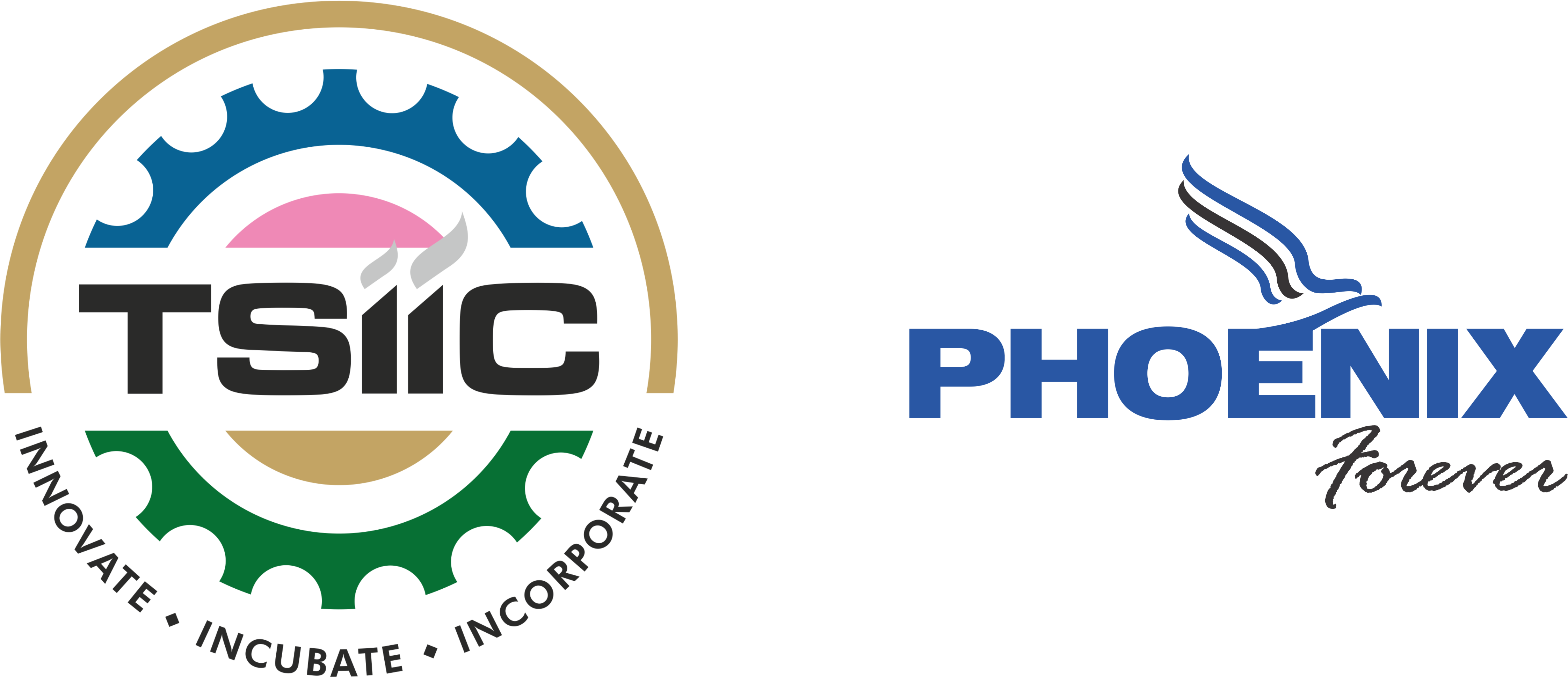 Download Transparent Pheonix Png - Phoenix Group Hyderabad Logo ...
