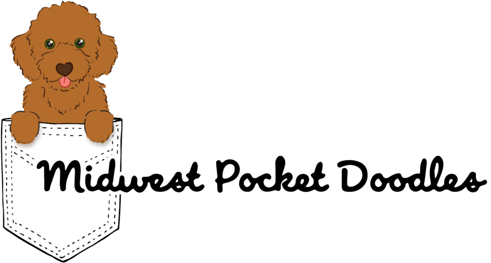 Download Midwest Pocket Doodles 2 - Cartoon - ClipartKey