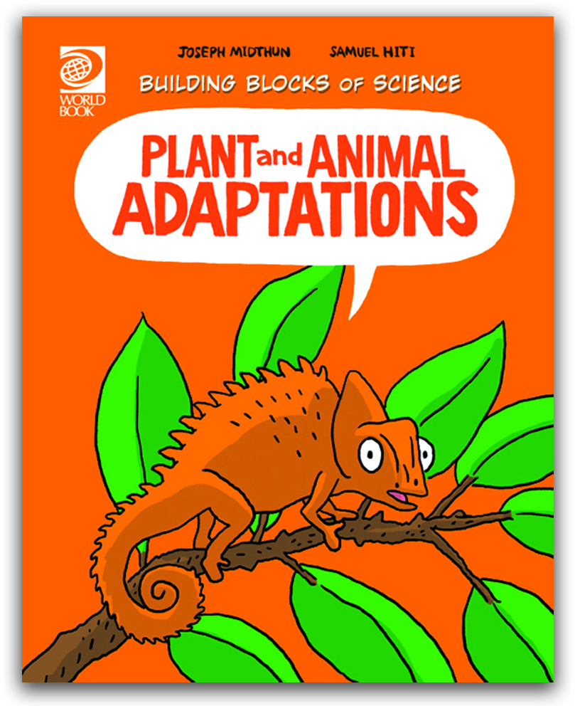 Download Animal Adaptations Book Cover - ClipartKey