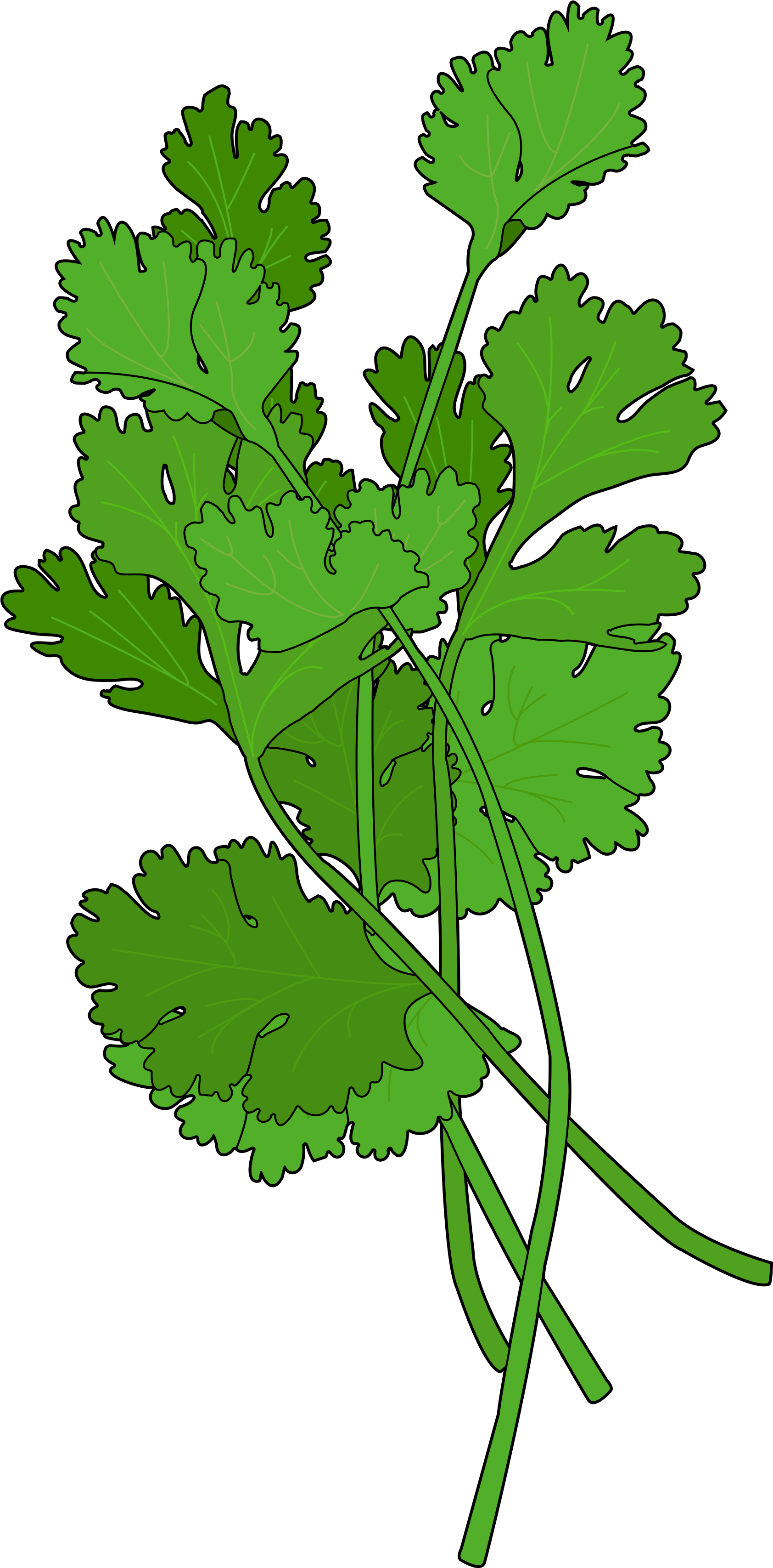 Download Clip Art - ClipartKey