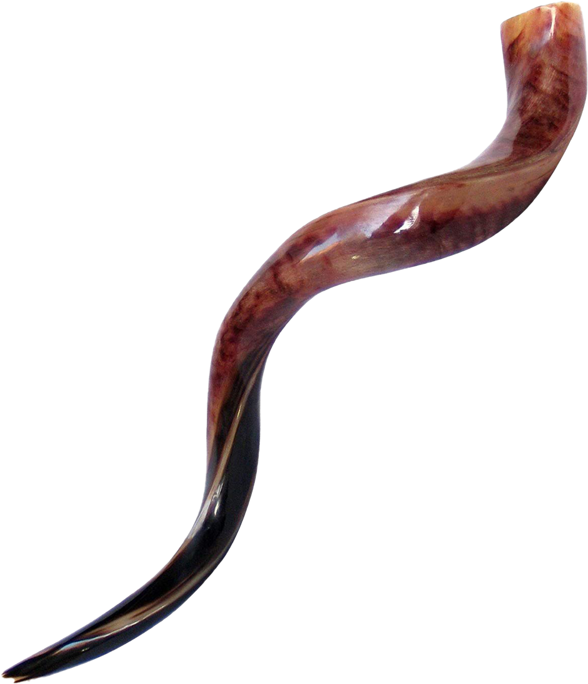 Download Shofar Horn Png Clipart - Imagenes De Un Shofar - ClipartKey