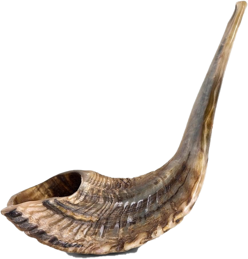 Download Shofar Transparent Png - Shofar - ClipartKey