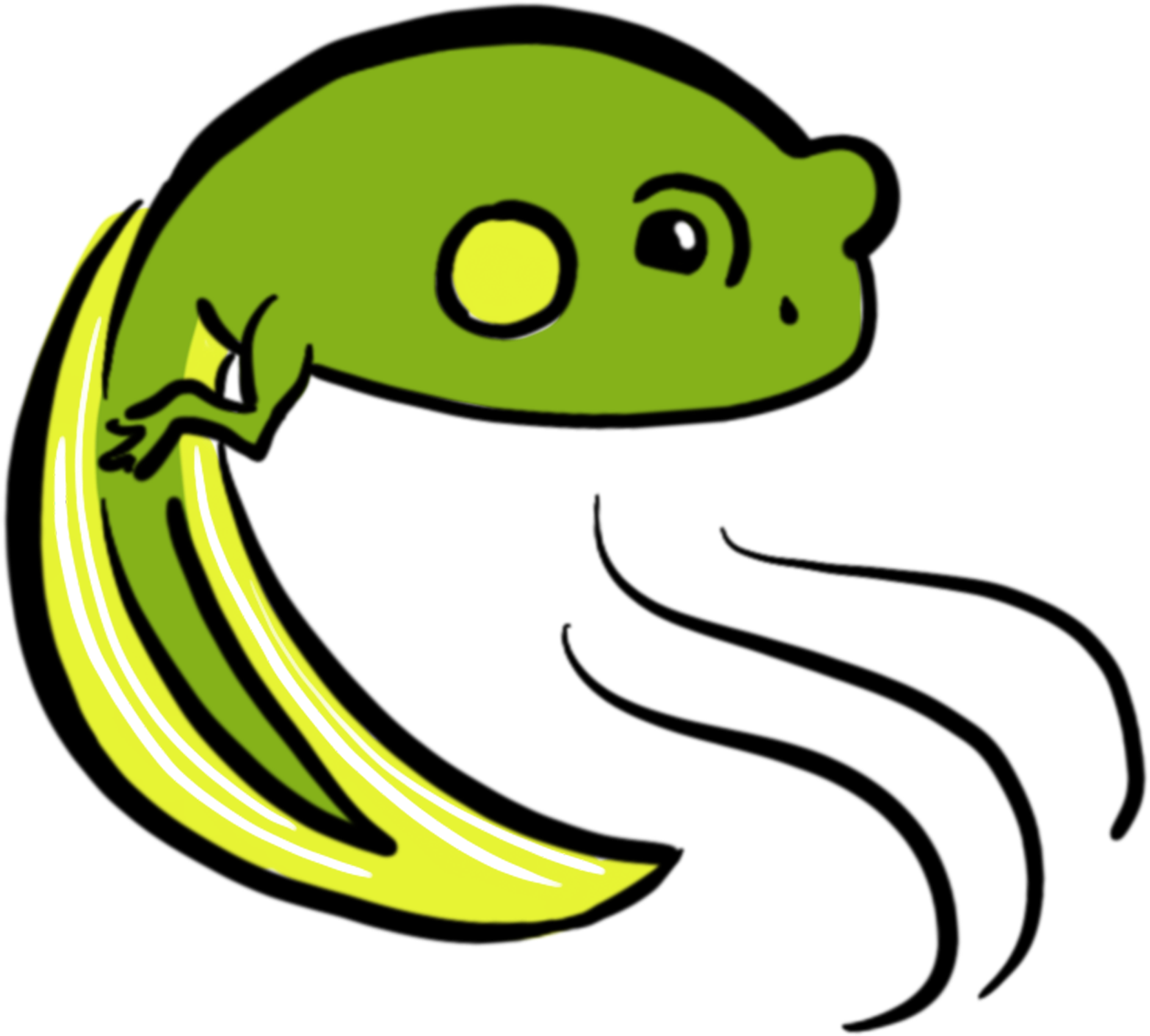 Download Flying Fish Color Tadpole - ClipartKey