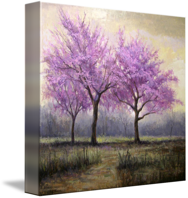 Download Drawing Spring Redbud Tree - Picture Frame - ClipartKey