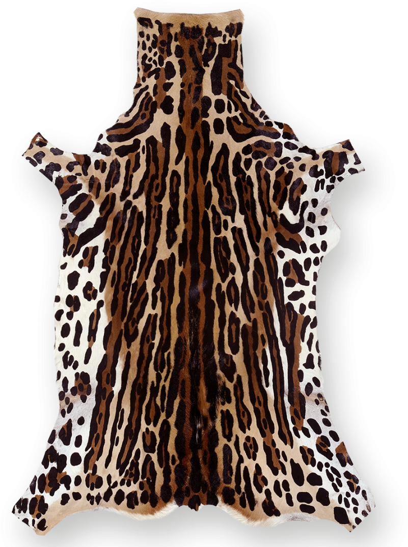 Download Transparent Ocelot Png - Pattern - ClipartKey