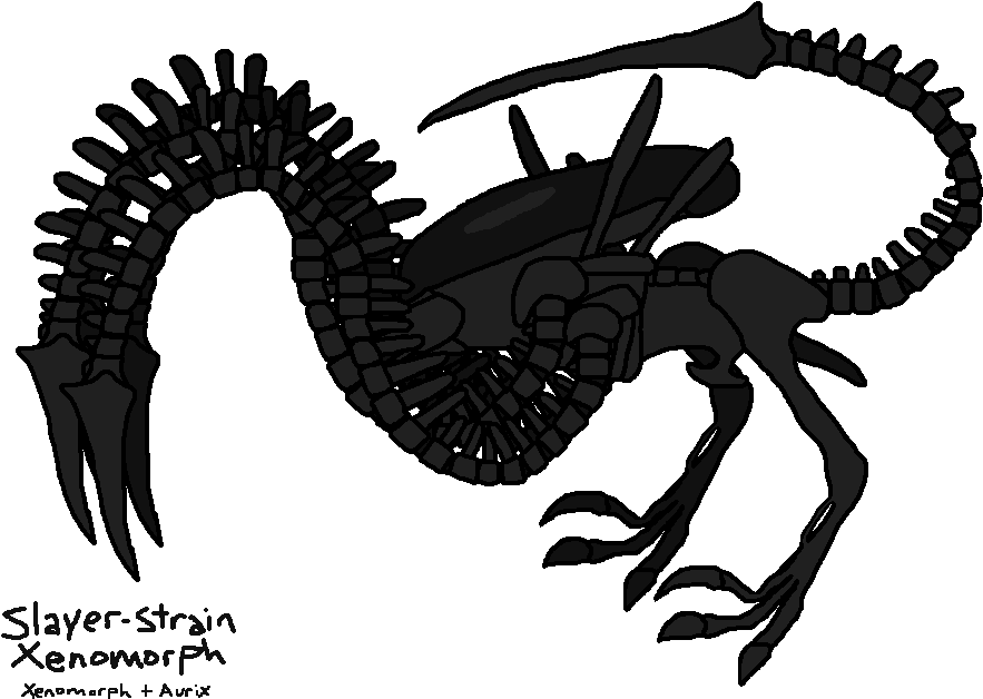 Download Transparent Alien Xenomorph Png - Alien Leech Xenomorph ...
