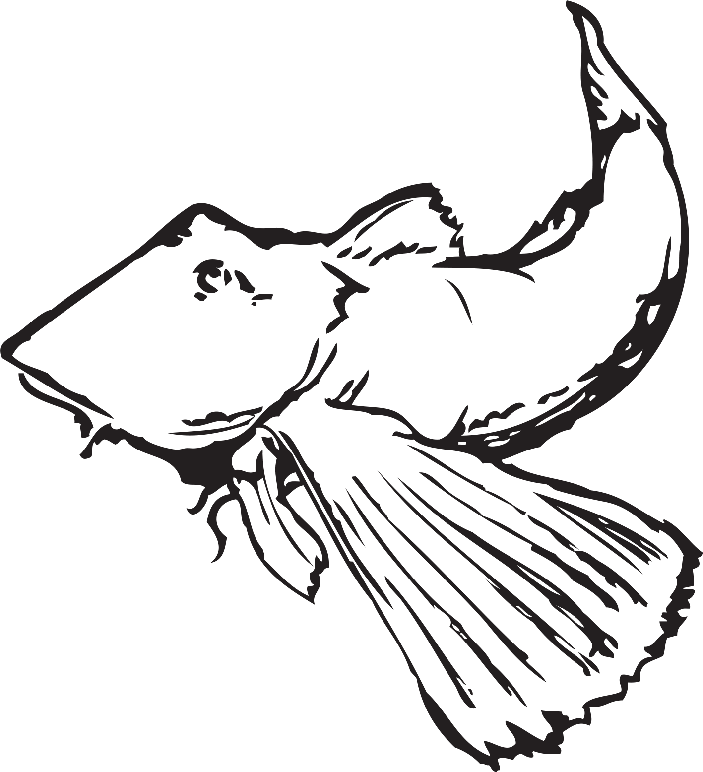 Download Robin Drawing North And Sea Robin Studios - Sea Robin Line ...