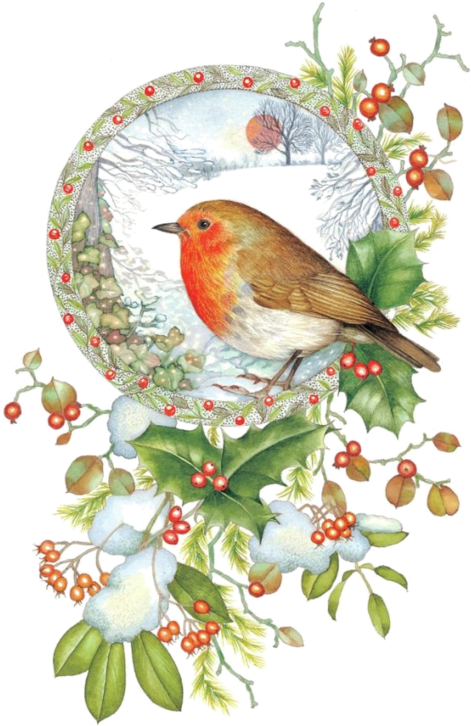 Download Clip Art Bird Christmas Cards - Robin Redbreast Christmas ...