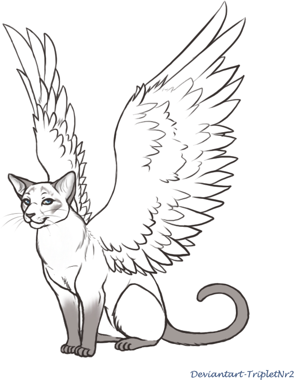 Download Wings Lineart Siamese Cat For Free Download - Angel Cat Wings ...