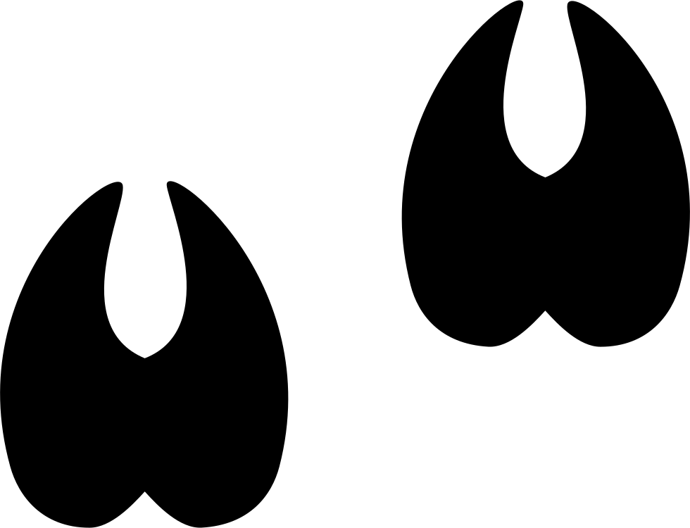 Download Clip Art Pig Hoof Prints - Hoof Transparent - ClipartKey