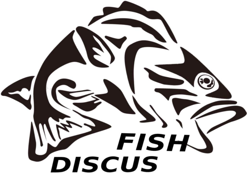 Download Transparent Discus Png - ClipartKey