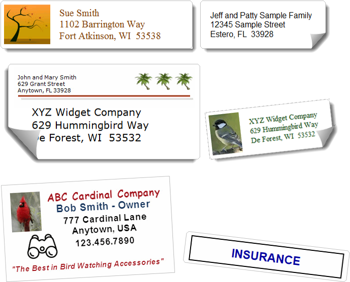 Download Colorful Label Examples - Book Owner Label - ClipartKey