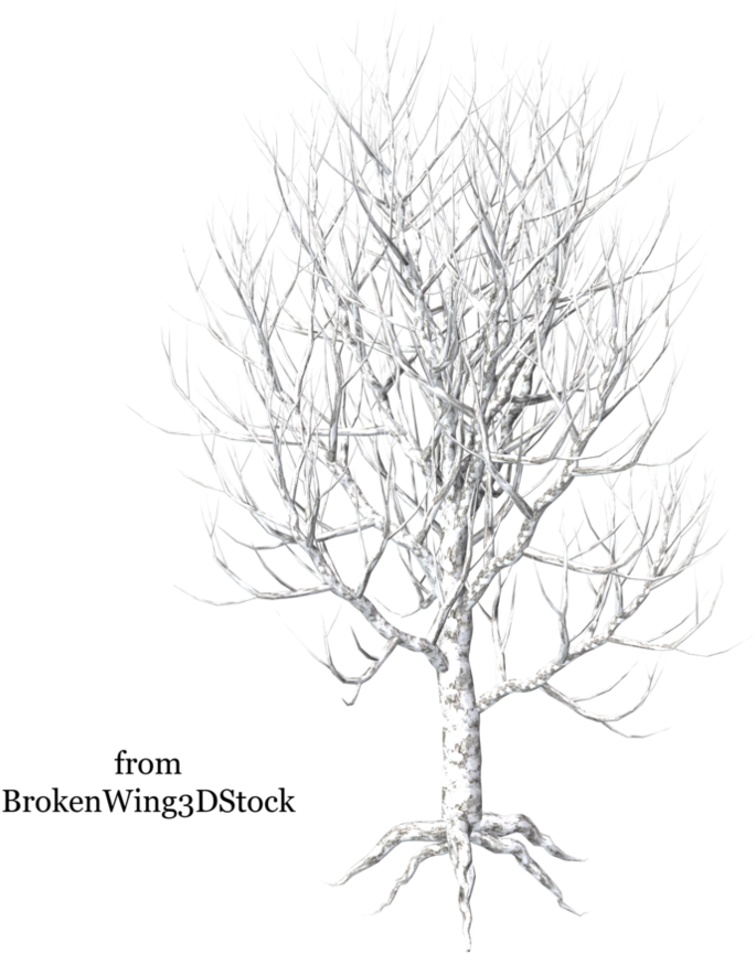 Download Twig Drawing Broken Tree Branch - Illustration - ClipartKey