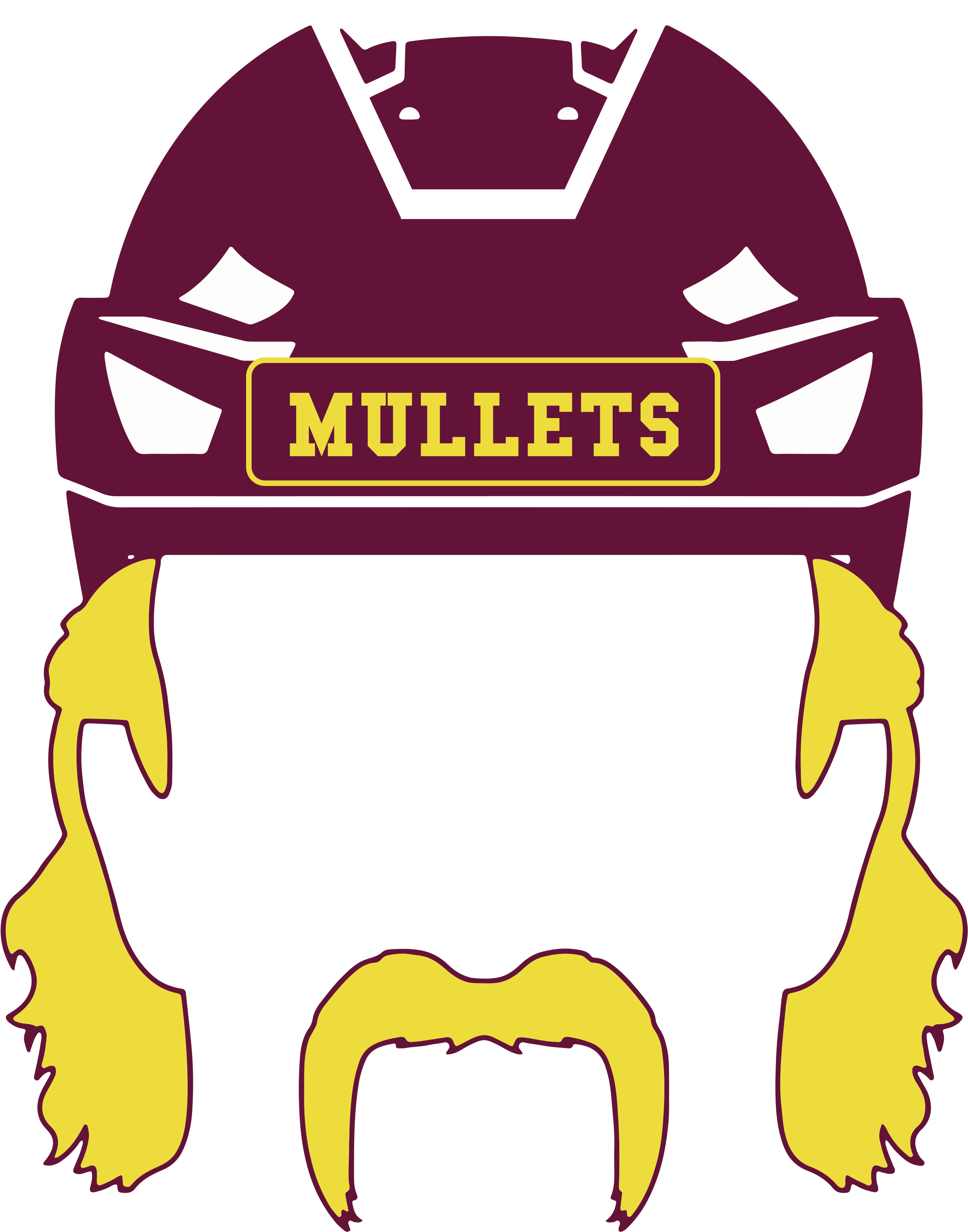Download Minnesota Mullets Hockey - ClipartKey