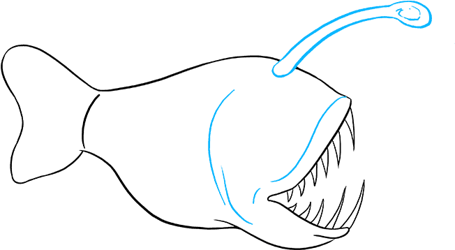 Download How To Draw Angler Fish - Drawing Of An Anglerfish - ClipartKey