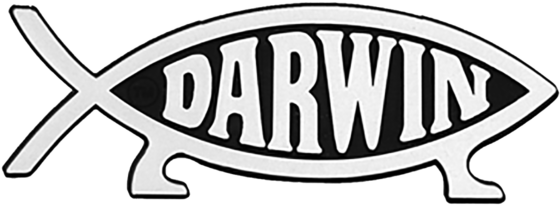 Download Darwin Fish Silver Car Emblem - Darwin Fish - ClipartKey