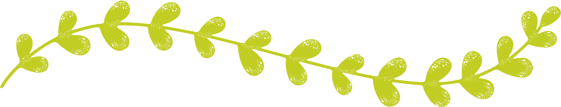 Download Leaf Underline - ClipartKey