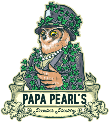 Download Papa Pearl"s Peculiar Plantery - Cartoon - ClipartKey