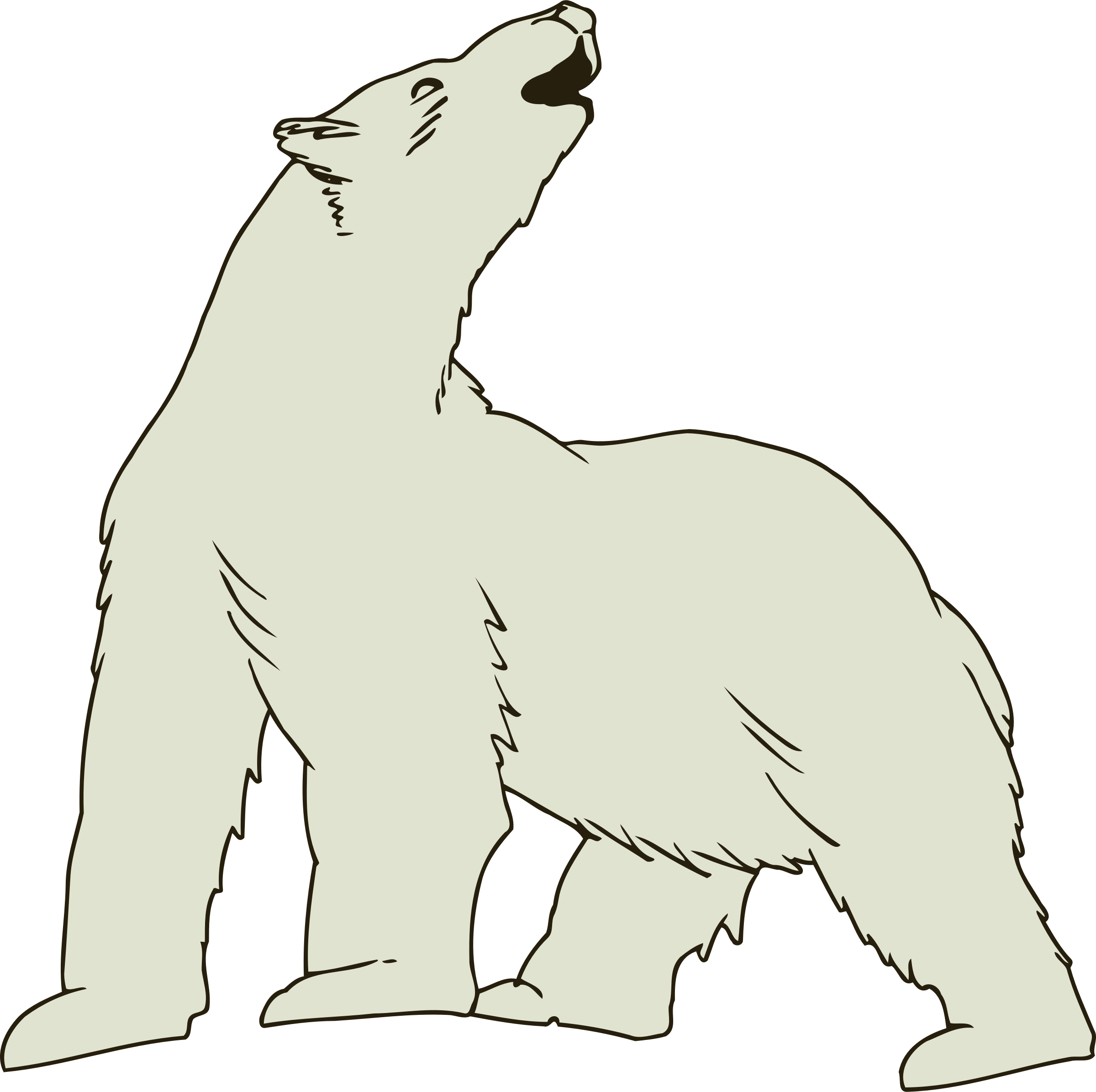 Download Polar Bear - Clip Art Polar Bear - ClipartKey