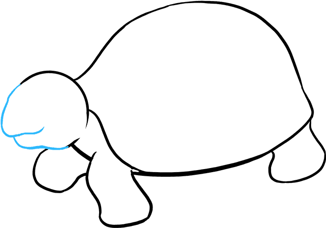 Download How To Draw Sea Turtle - Simple Baby Sea Turtle Drawing ...