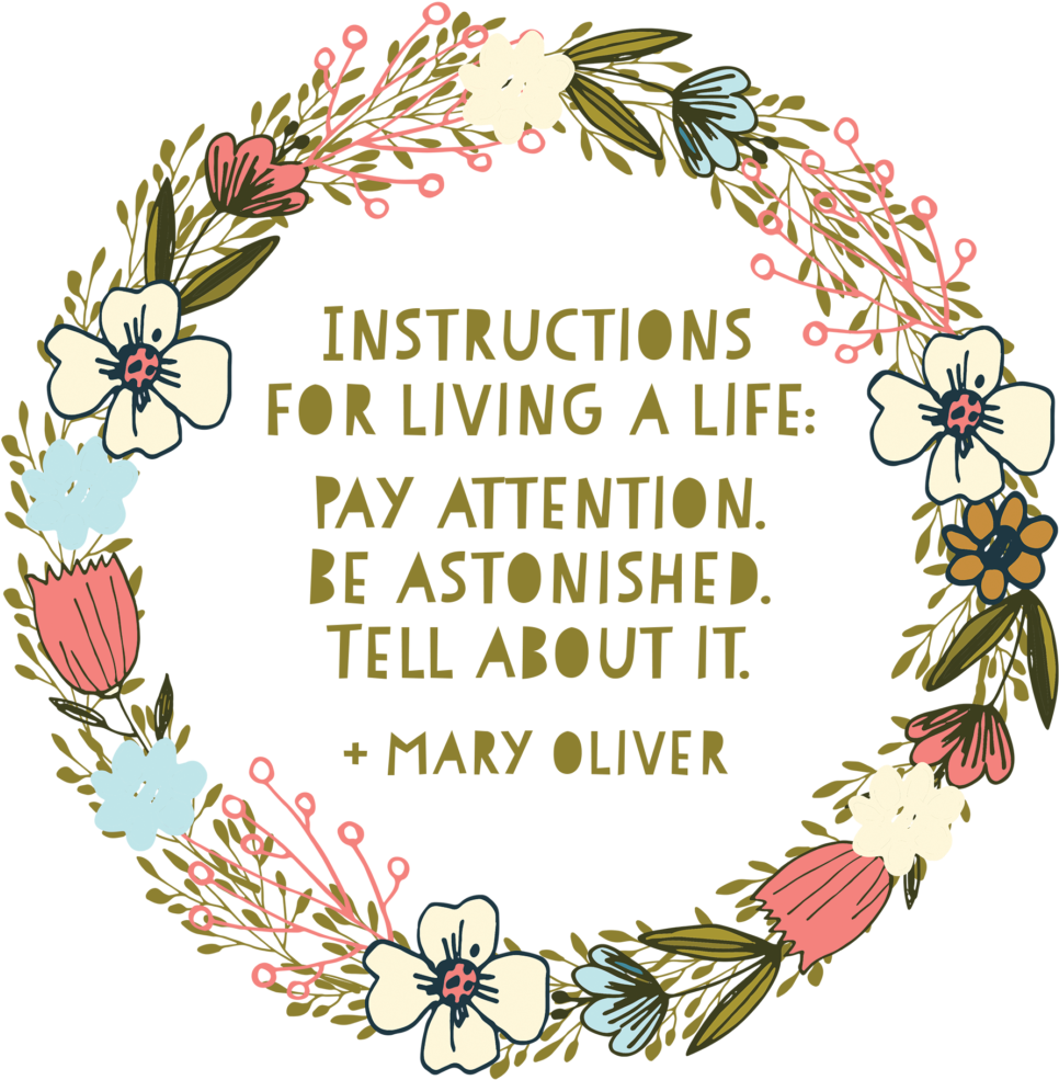Download Mary Oliver Pay Attention Poem - ClipartKey