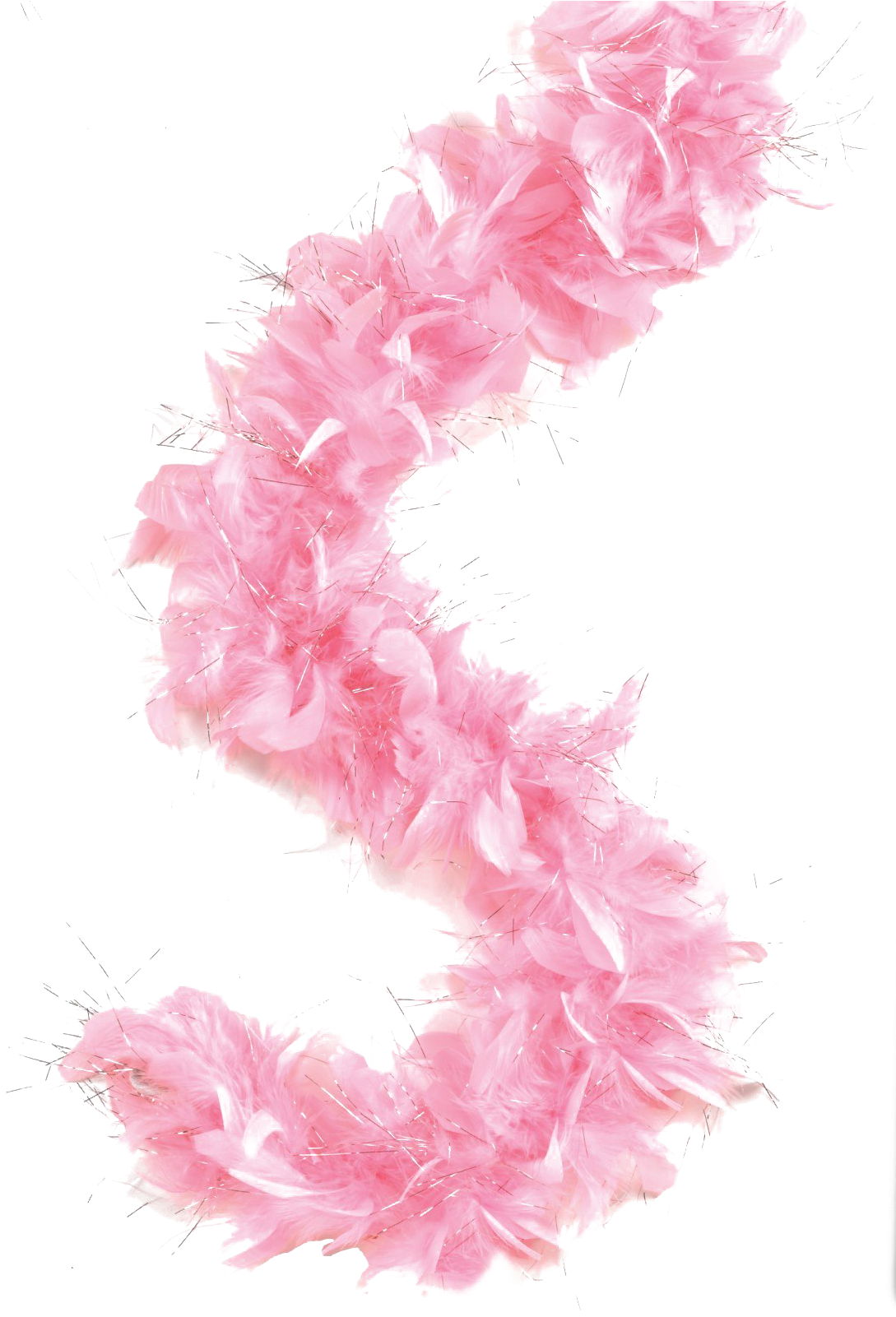 Download Transparent Boa Png - Feather Boa Png - ClipartKey