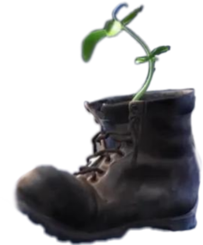 Download Transparent Walle Png - Wall E Shoe Plant - ClipartKey