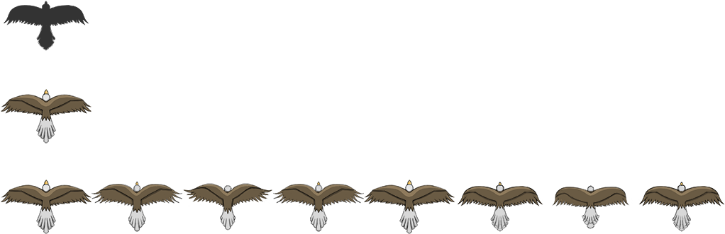 Download Transparent Barbed Wire Border Png - Top Down Bird Sprite ...