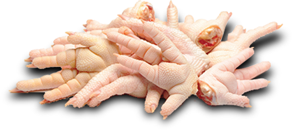 Download Transparent Pollo Png - Chicken Feet Food Raw - ClipartKey