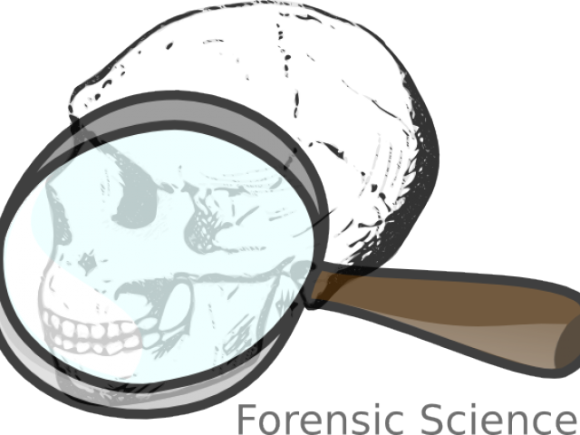 Download Forensics Cliparts - Forensic Science Clip Art - ClipartKey