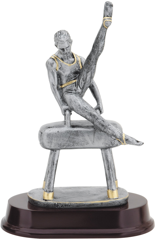 Download Transparent World Series Trophy Png - Gymnastic Trophies For ...